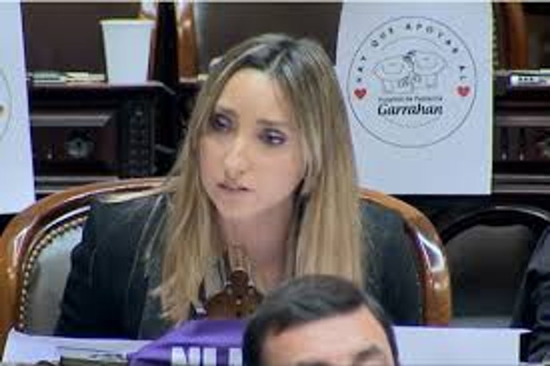 Julia Strada apunta contra Karina Milei y Mauricio Novelli por el caso ...